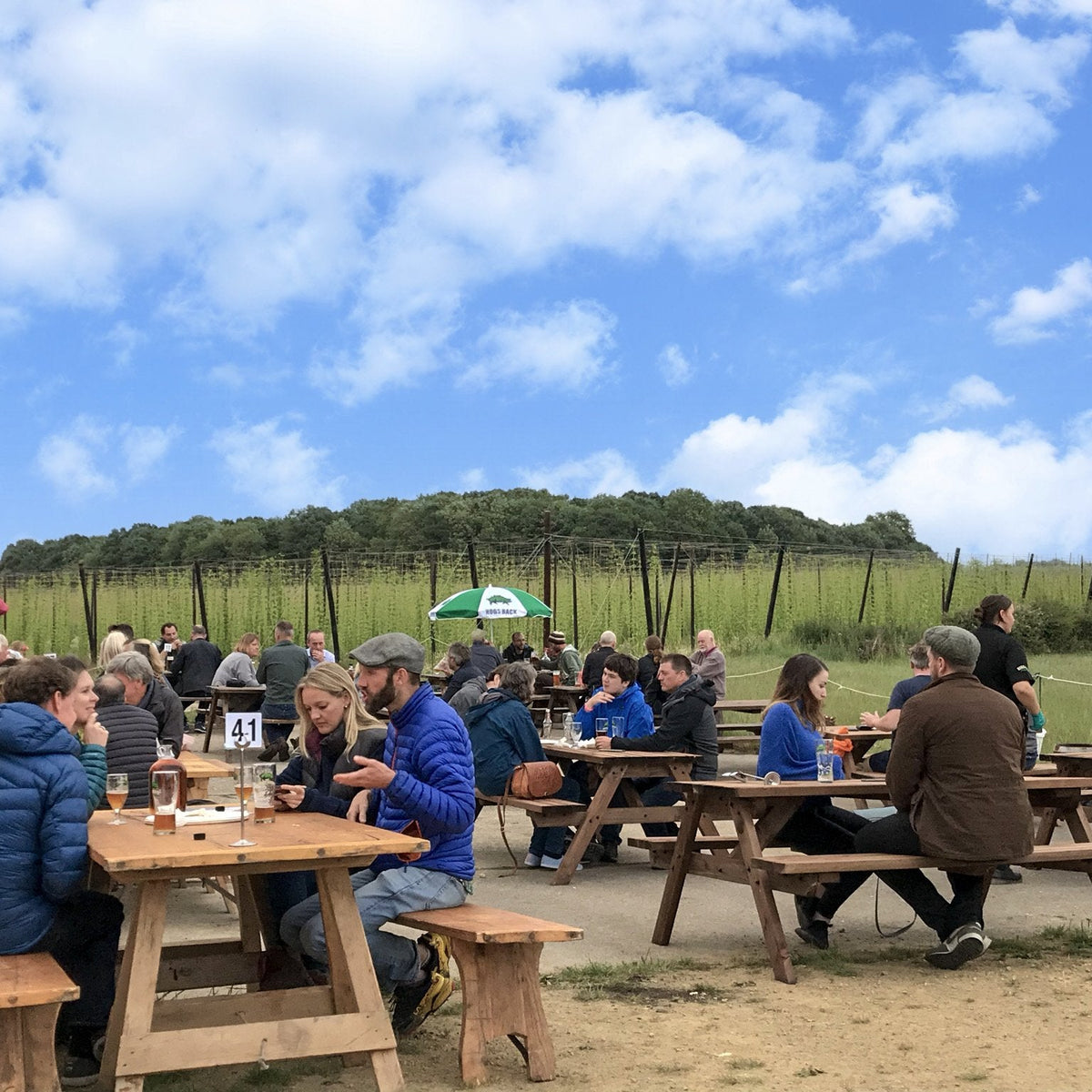 Brewery Tap & Bar re-opening this Summer! – Hogs Back Brewery