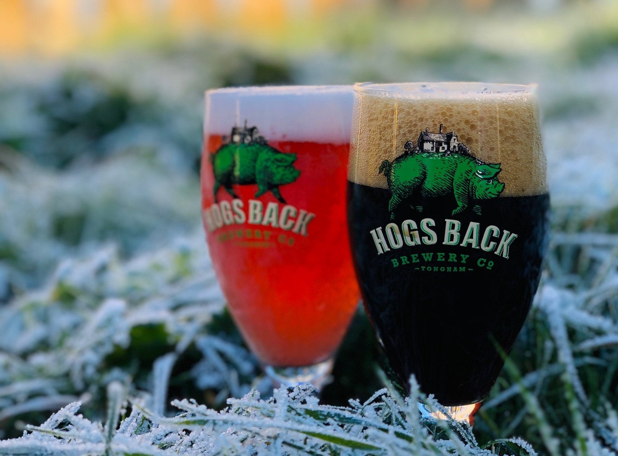 Great Guest Beers – Hogs Back Brewery