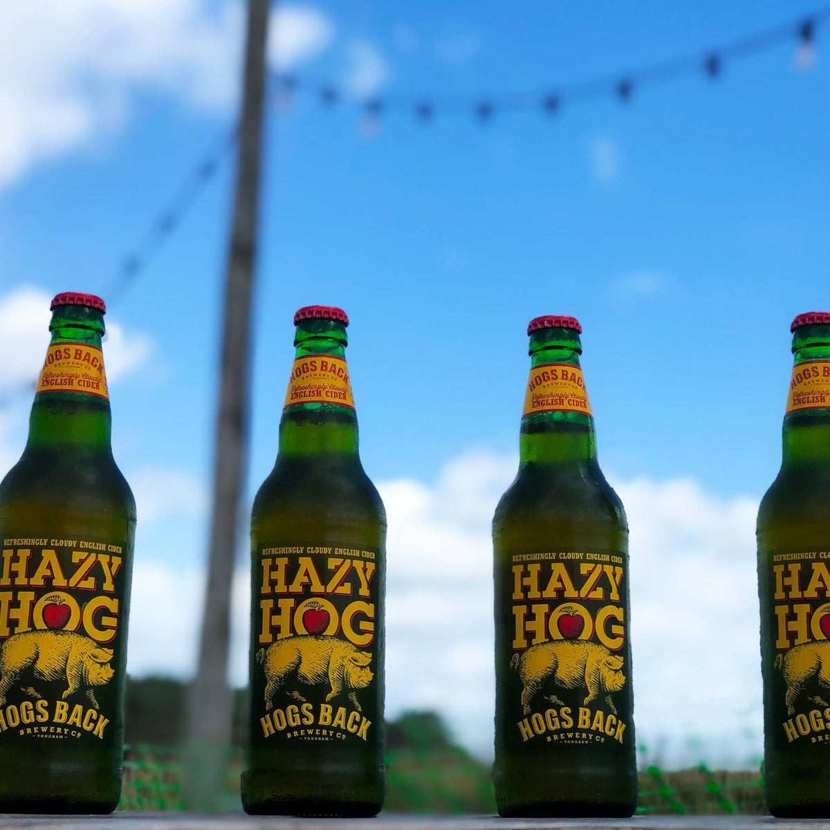Hazy Hog Offer! – Hogs Back Brewery