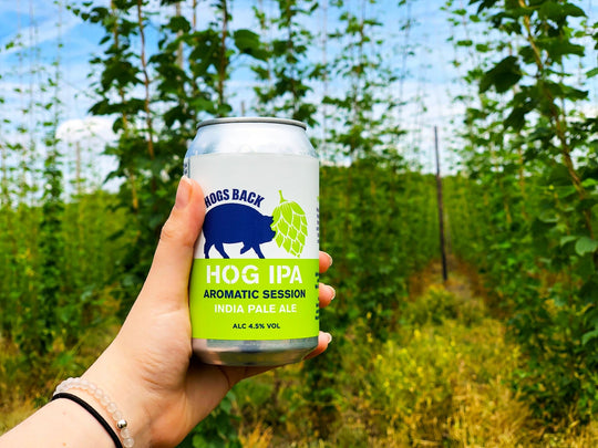 Hog IPA can offer! – Hogs Back Brewery