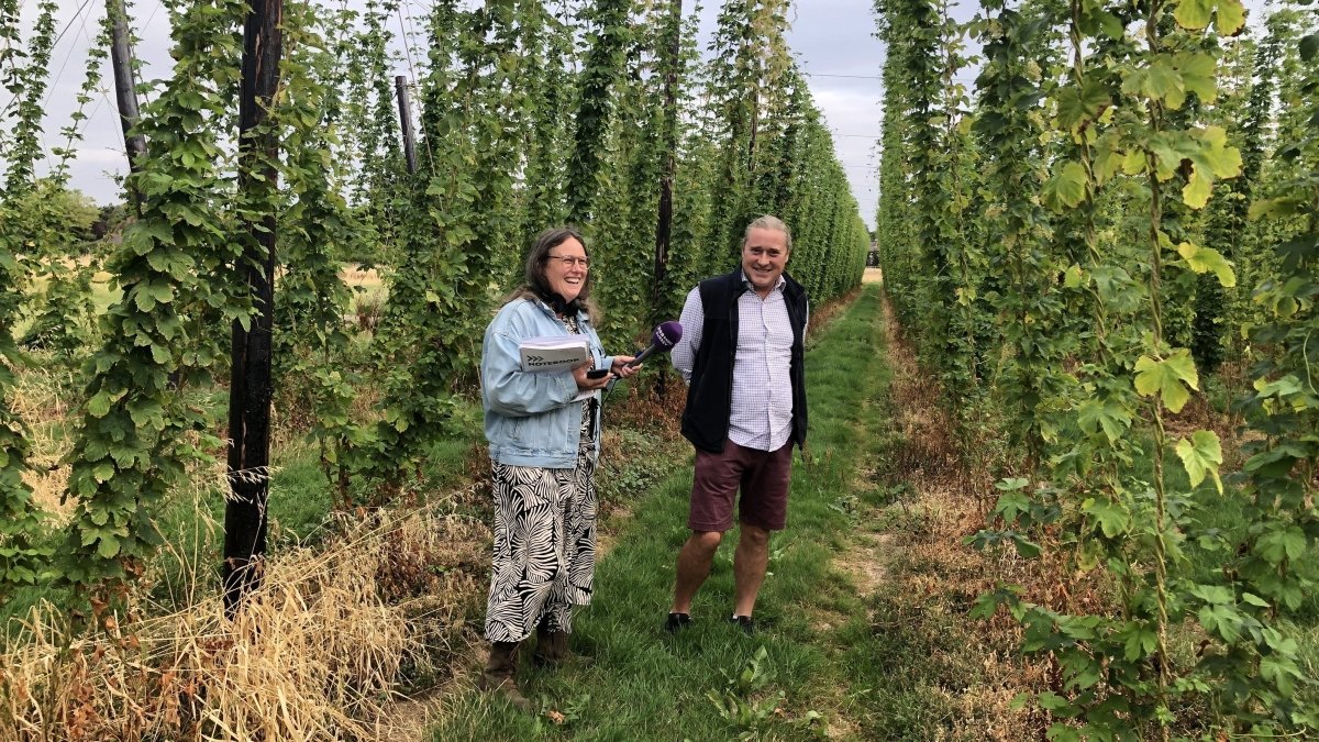 Hops feature on BBC Radio FarmWatch – Hogs Back Brewery
