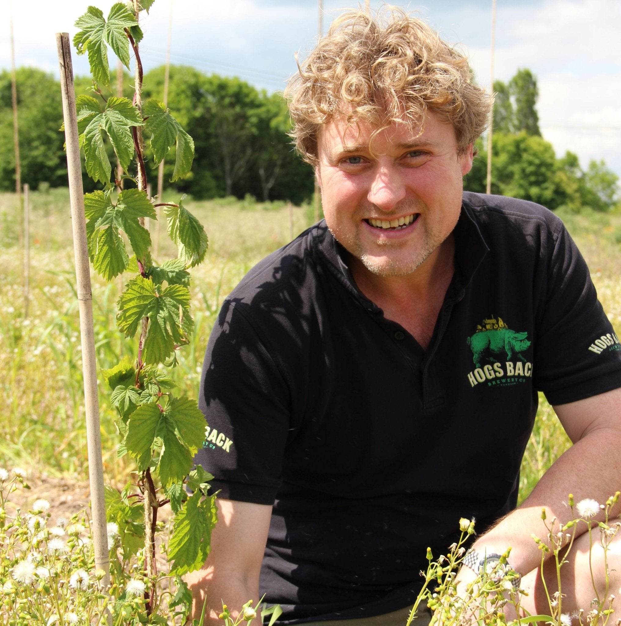 How to grow your own Hogs Back hops – Hogs Back Brewery