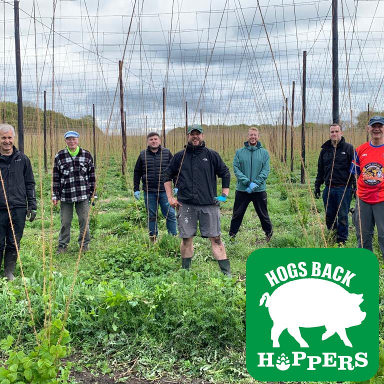 Join the Hogs Back Hoppers! – Hogs Back Brewery