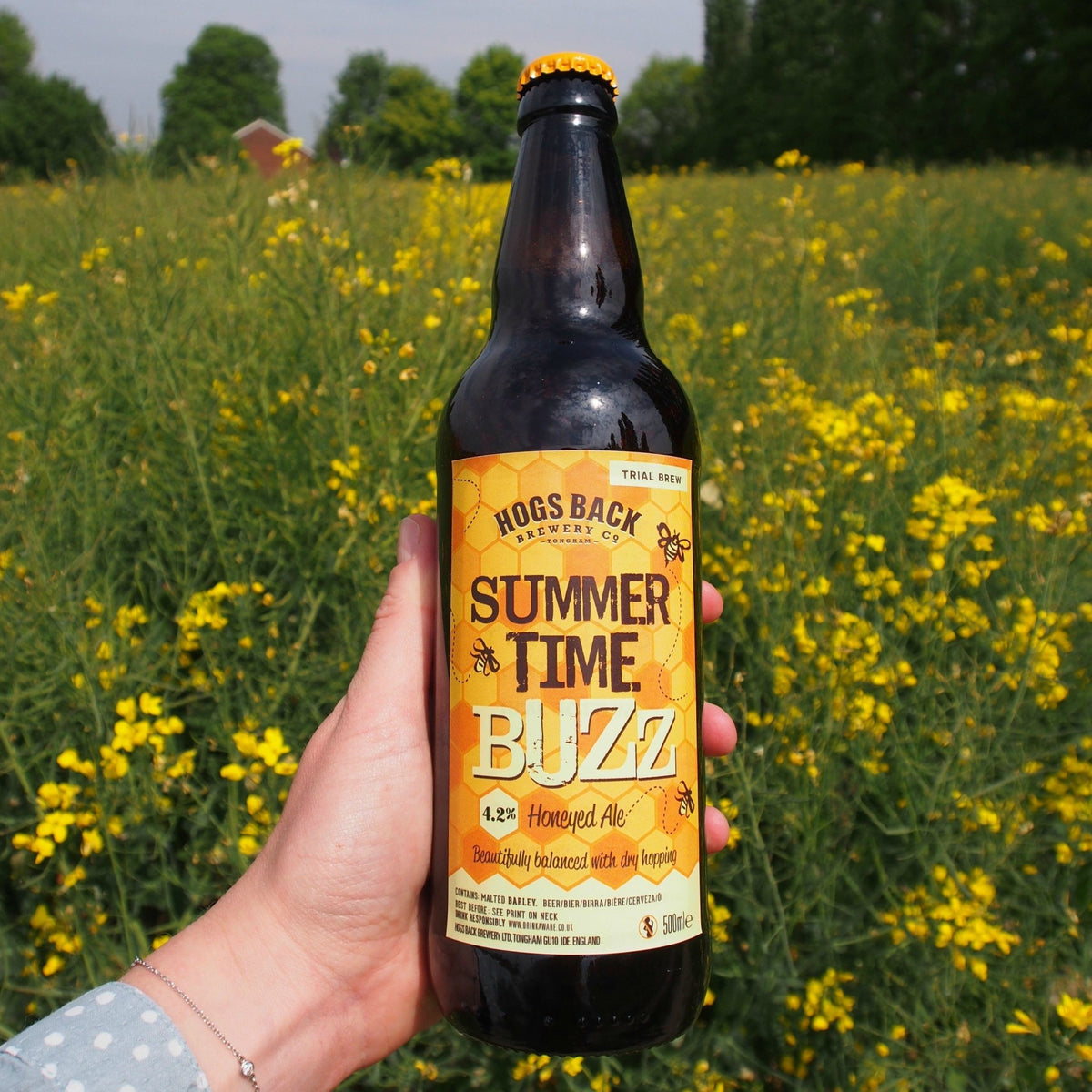 Limited edition honeyed ale, Summertime Buzz, has arrived! – Hogs Back ...