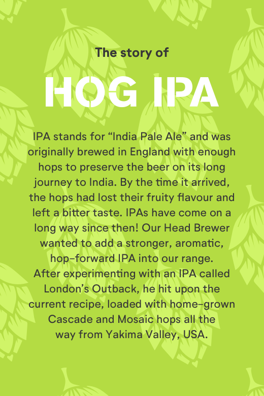 Hog IPA 4.5% - Fresh Draught Beer – Hogs Back Brewery