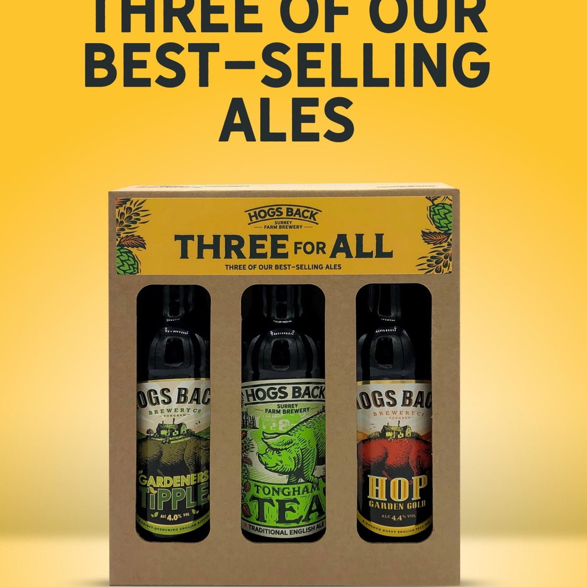 Three For All - 3 Mixed Bottled Beer Gift Box – Hogs Back Brewery